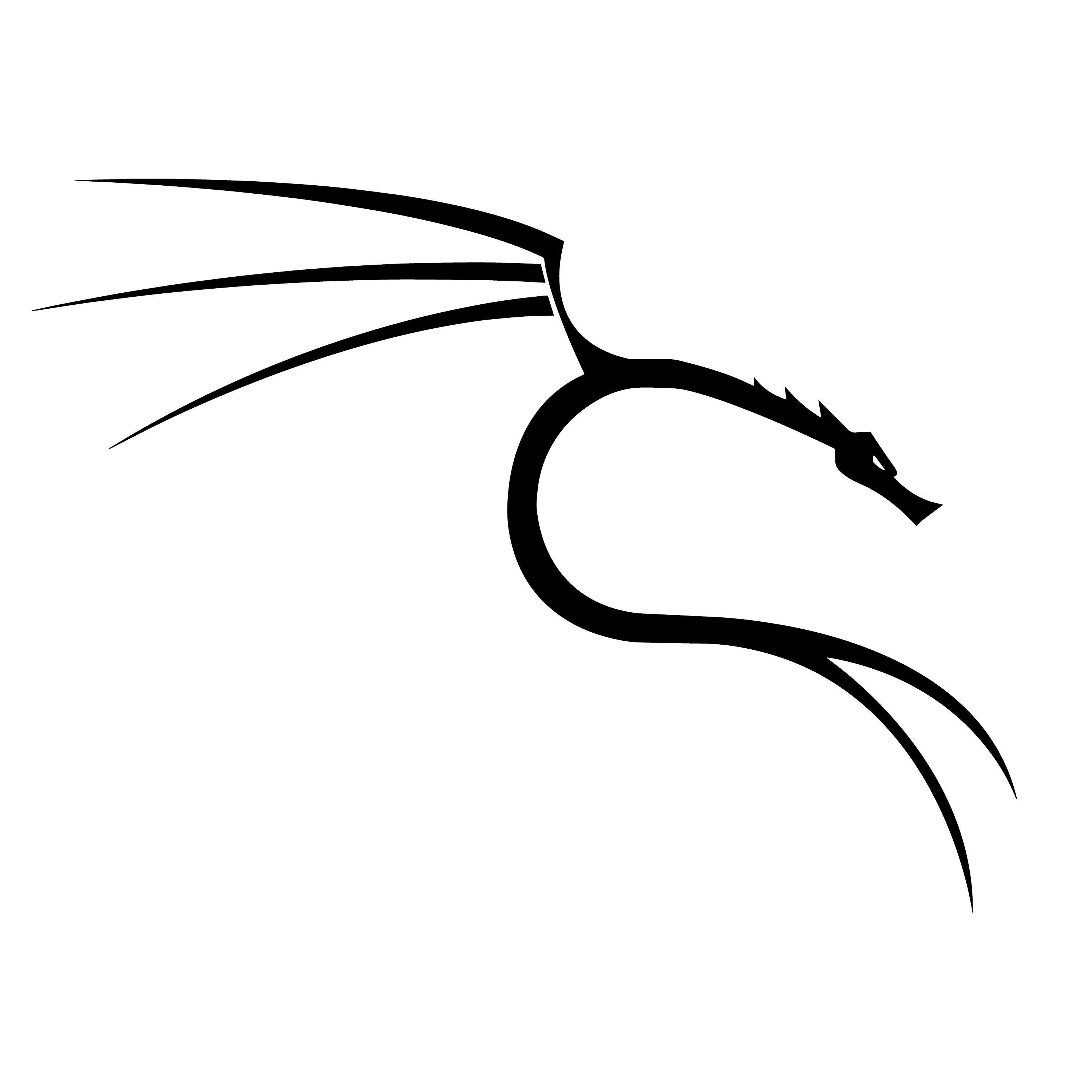 Kali Linux Vinyl Decal Sticker for Laptop and Accessories (pack of 2 ...