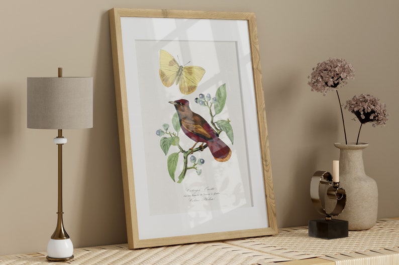 PRINTABLE Illustration Larks Bird by Paul Gervais Antique Lithograph ...