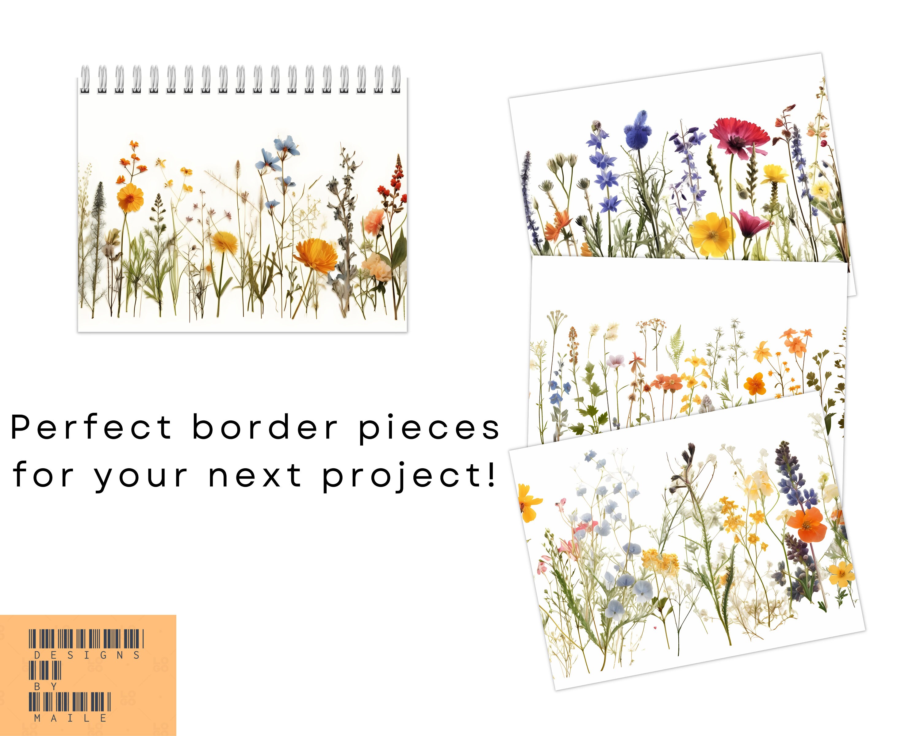 Watercolour Wildflower Borders No.1 Floral Borders Wild Flowers ...