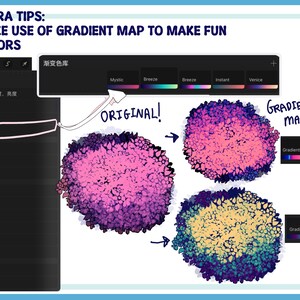 11 Procreate Flower Brush Stamp, Shading/gradient/outlined - Etsy