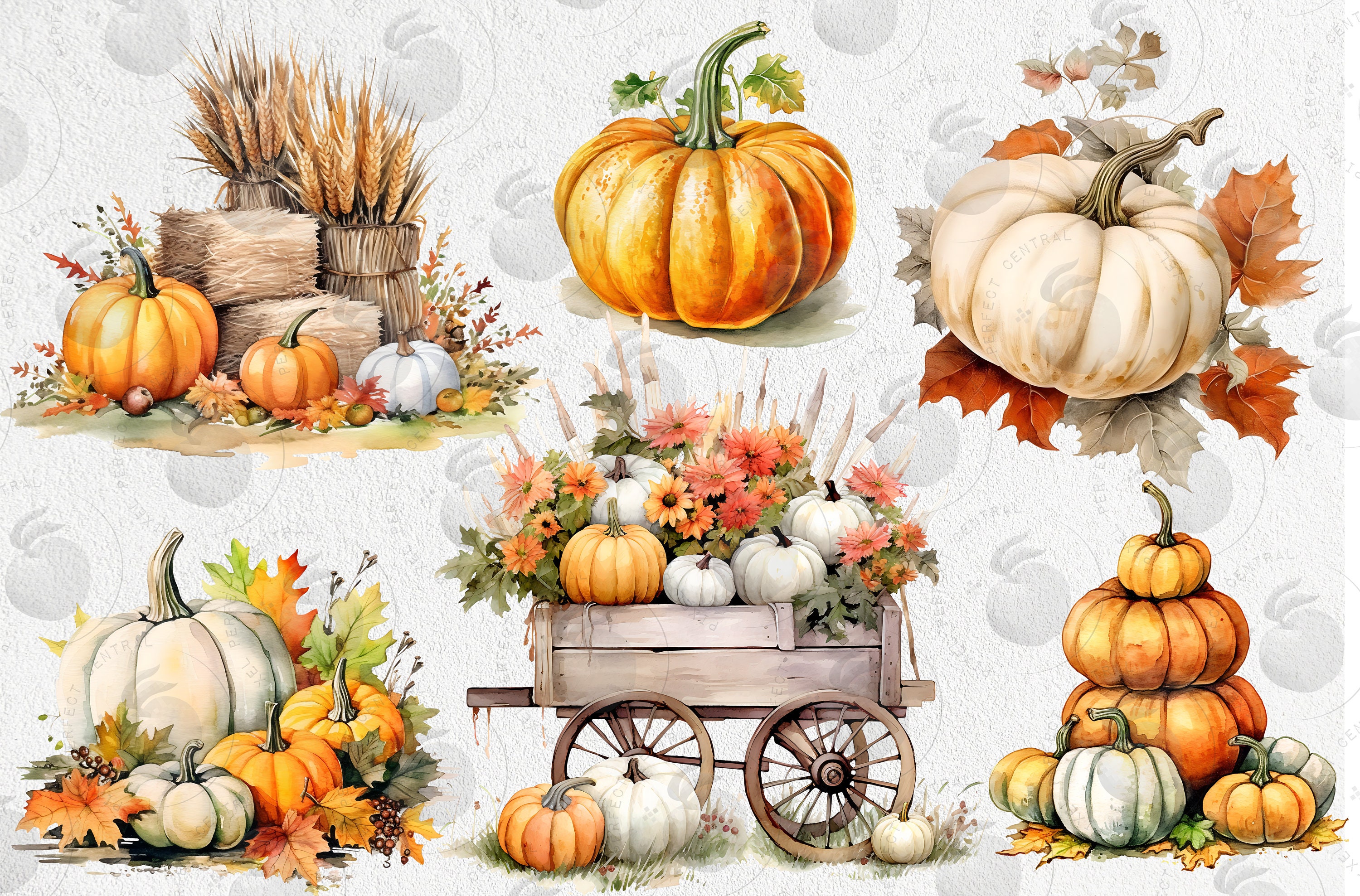 Watercolor Fall Clipart Harvest Season Autumn Pumpkin Instant Download ...
