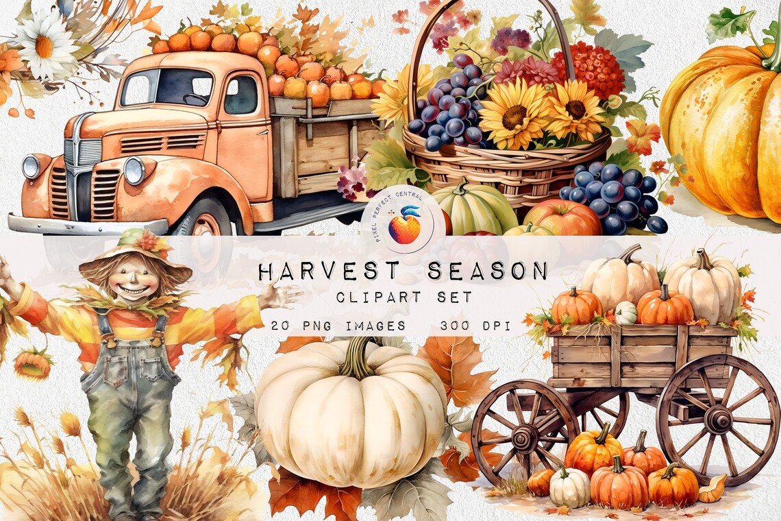 Watercolor Fall Clipart Harvest Season Autumn Pumpkin - Etsy