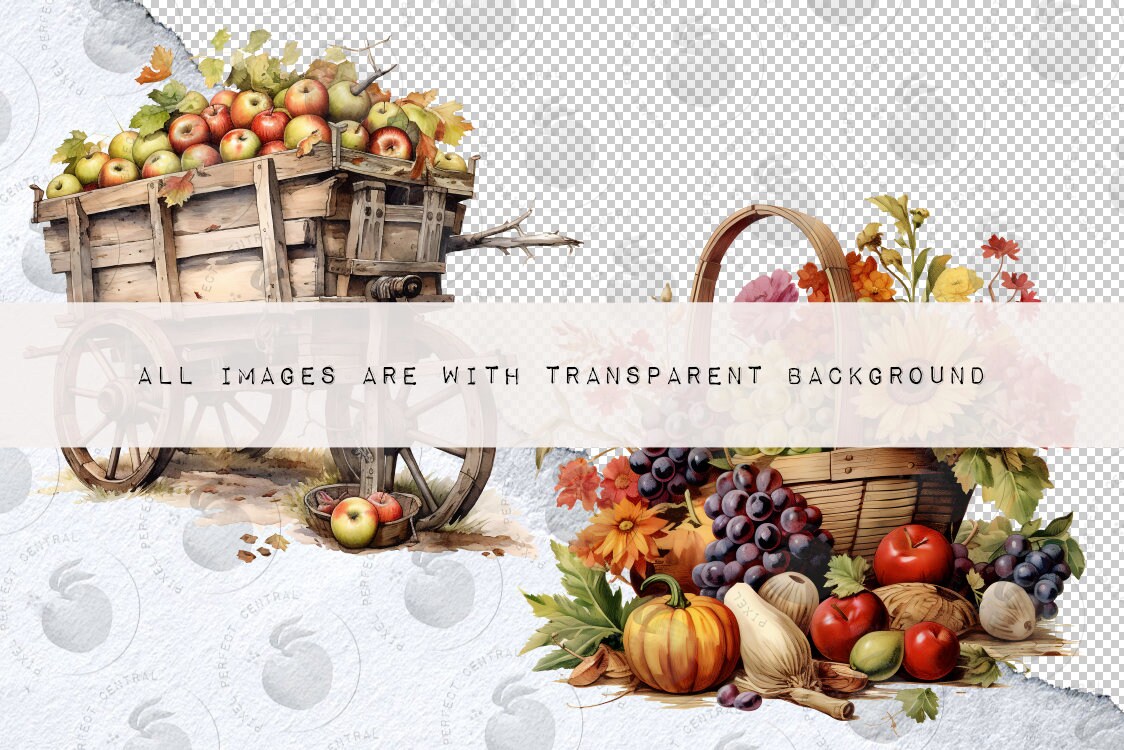 Watercolor Fall Clipart Harvest Season Autumn Pumpkin Instant Download ...
