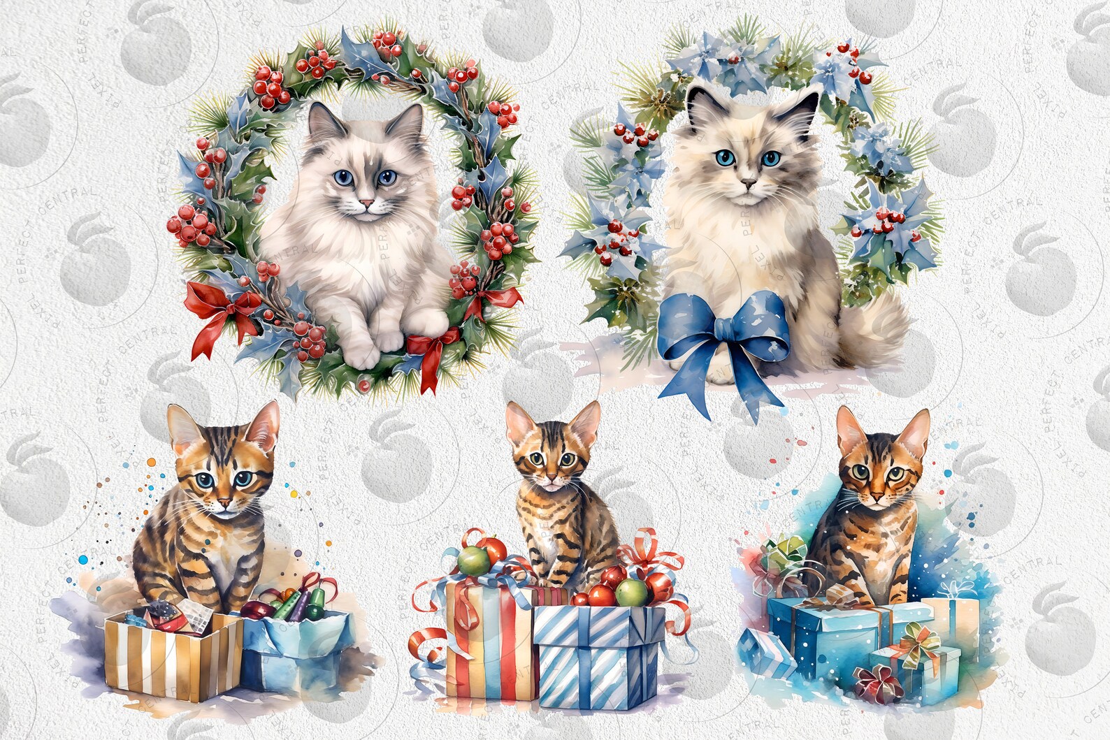Watercolor Christmas Cats Clipart Xmas Clip Art Kittens Instant ...