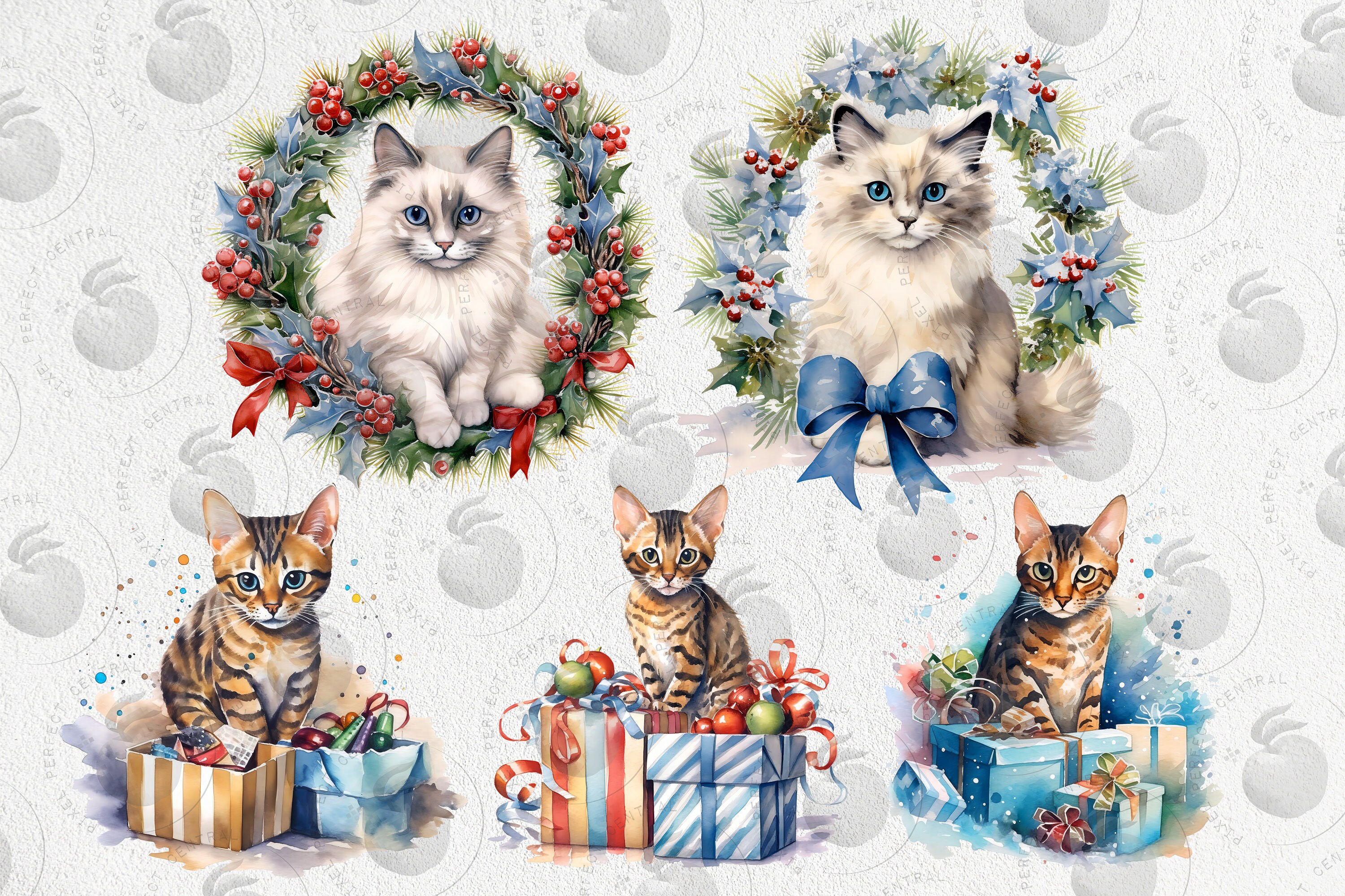 Watercolor Christmas Cats Clipart Xmas Clip Art Kittens Instant ...