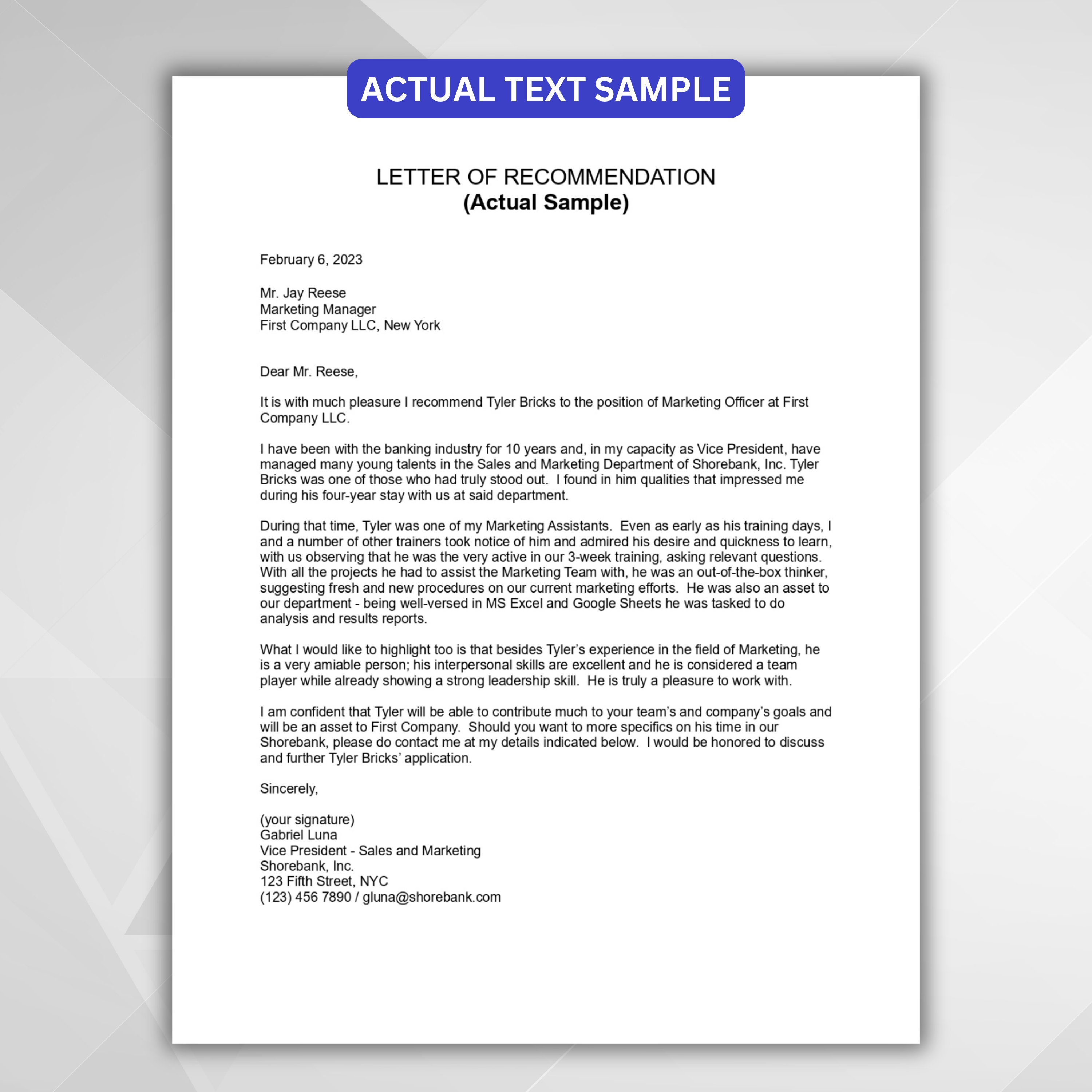 Professional Letter of Recommendation Template, Character Letter ...
