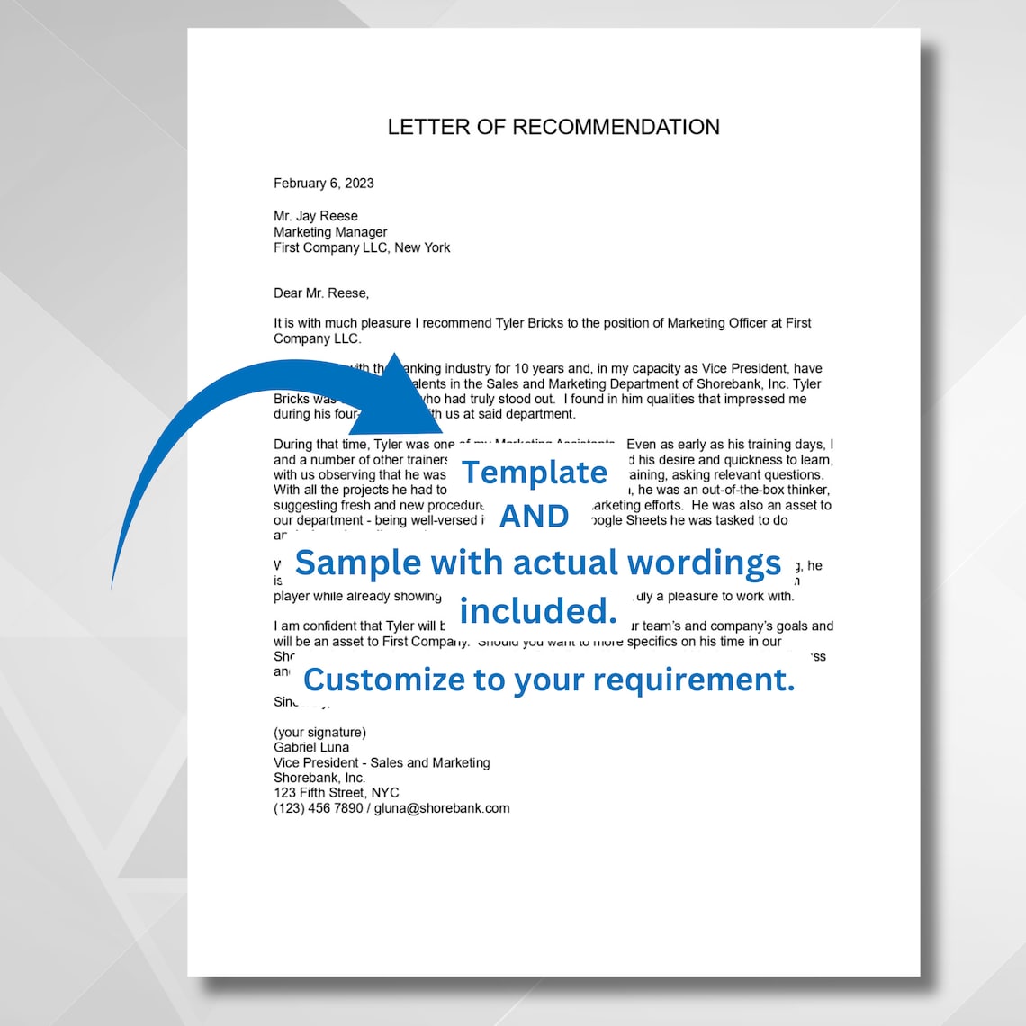 Professional Letter of Recommendation Template, Character Letter ...