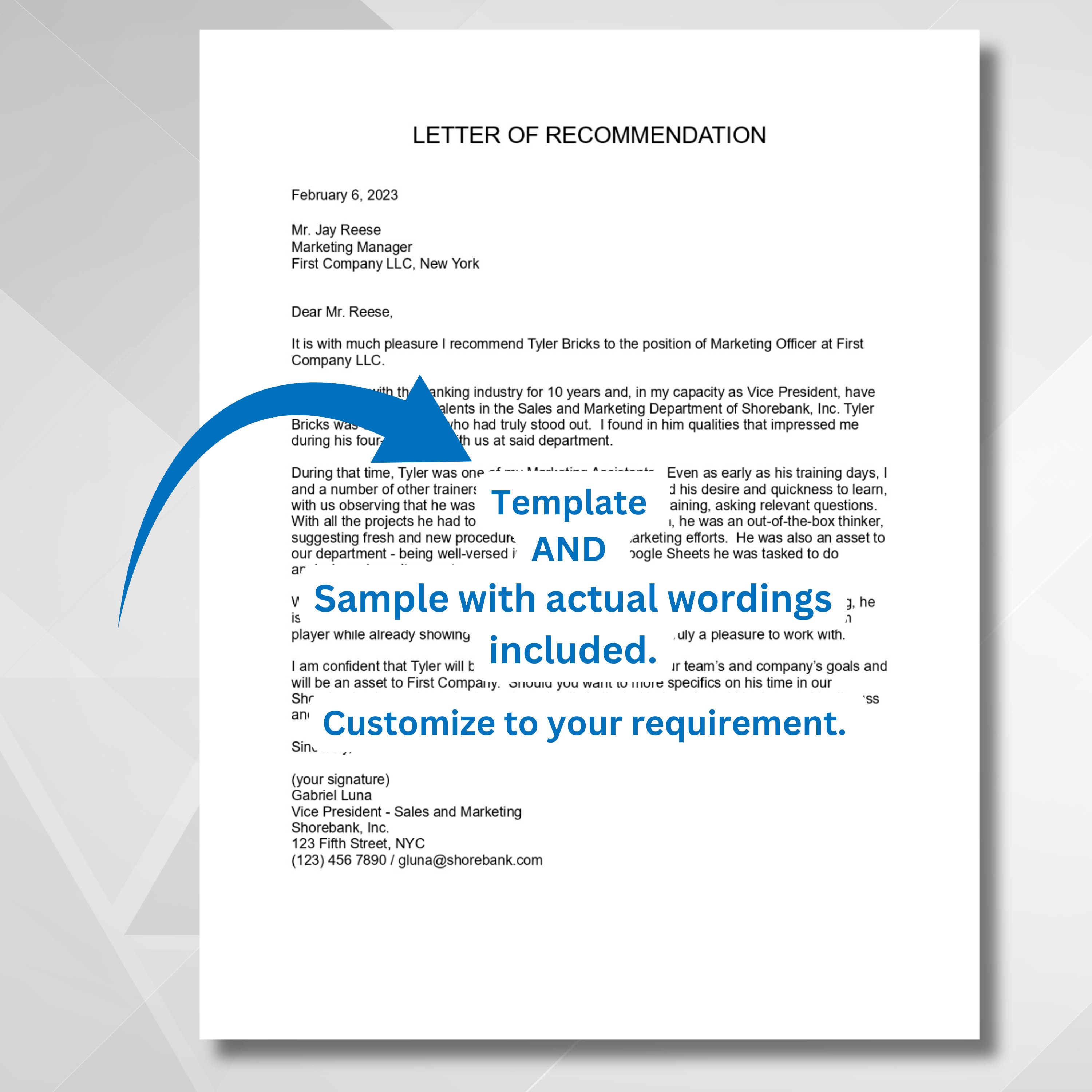 Professional Letter of Recommendation Template, Character Letter ...