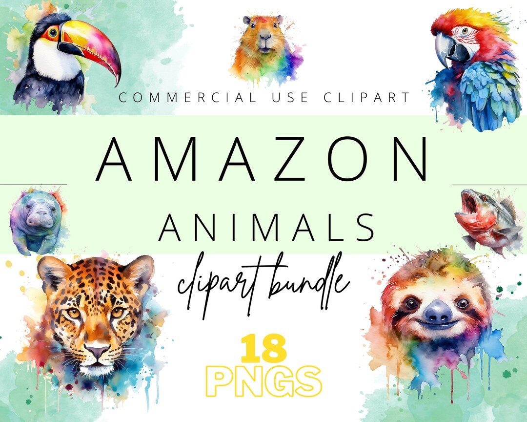 Amazon Rainforest Animals Watercolor Clipart: 18 PNG Illustrations ...