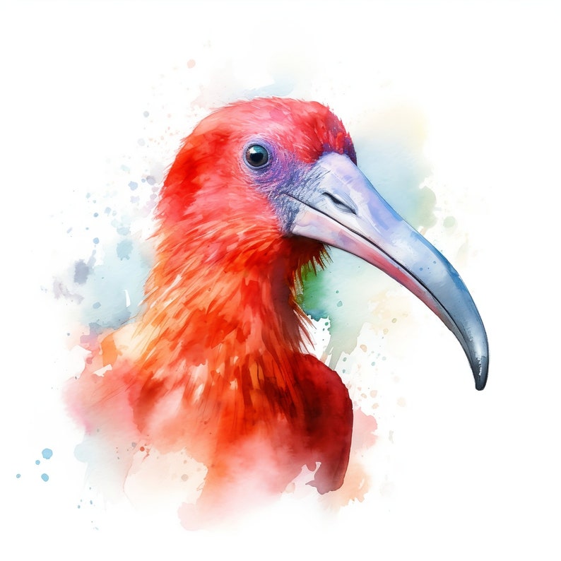 Amazon Rainforest Animal Portrait Watercolor Cliparts: Jaguar - Etsy