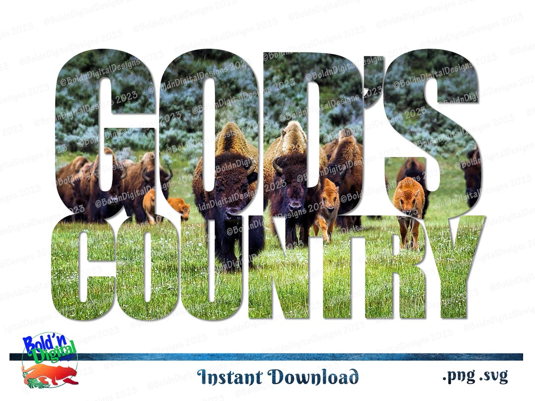 God’s Country SVG, Faith Country Design, Christian T-shirt PNG, Bison ...