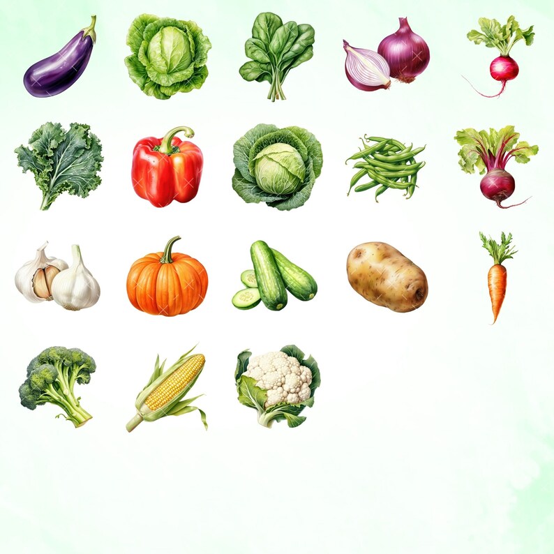 18 Watercolor Realistic Vegetables, Healthy Food Clipart, Veggie ...