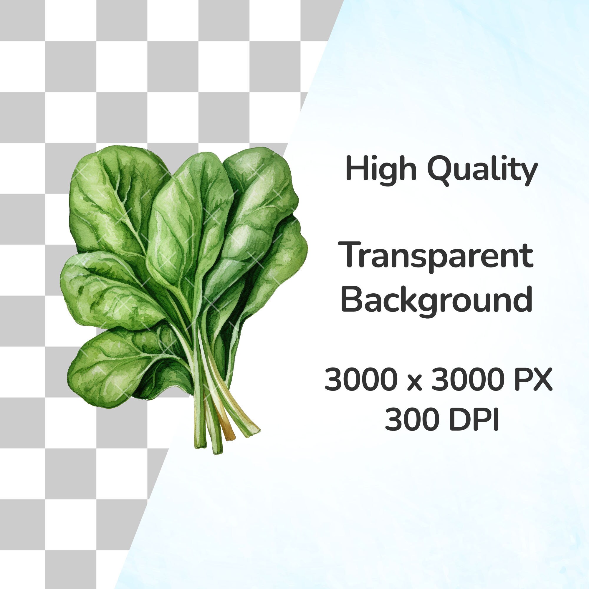 18 Watercolor Realistic Vegetables, Healthy Food Clipart, Veggie ...