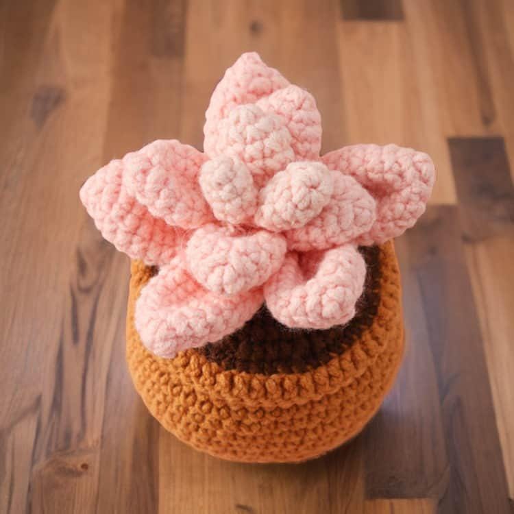 Pre-order Handmade Crochet Succulent: Pachyphytum in Mini Pot - Etsy