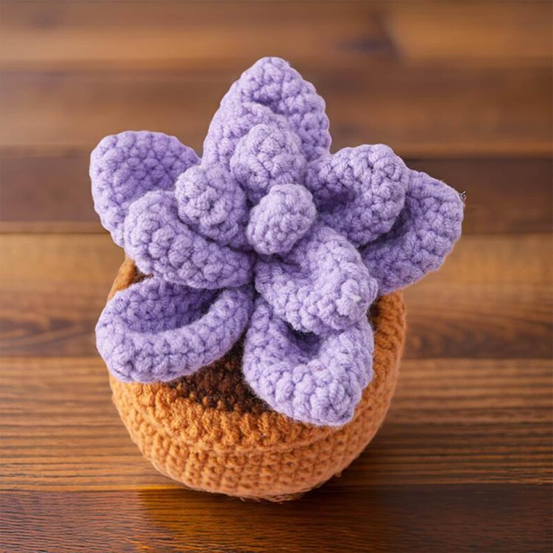 Pre-order Handmade Crochet Succulent: Pachyphytum in Mini Pot - Etsy
