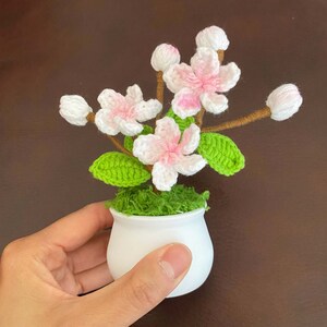 Handmade Finished Crochet Sakura Flower Pot | Home Summer Decor ...