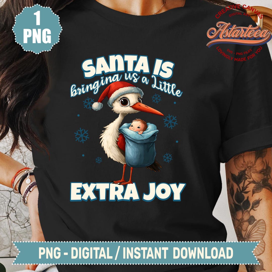 Santa Stork Delivery, Christmas Announcement Pregnancy PNG, Cute Stork ...