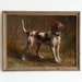 Limier Briquet Hound Vintage Dog Art Animal Oil Painting Old Hunting ...