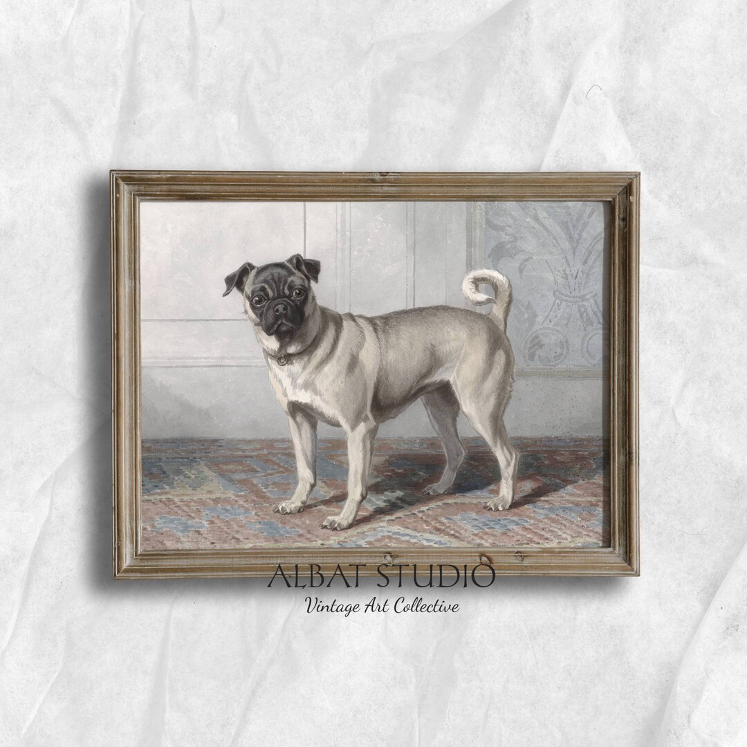 Vintage Mops Dog Painting Animals Antique Art Digital Download P72 - Etsy