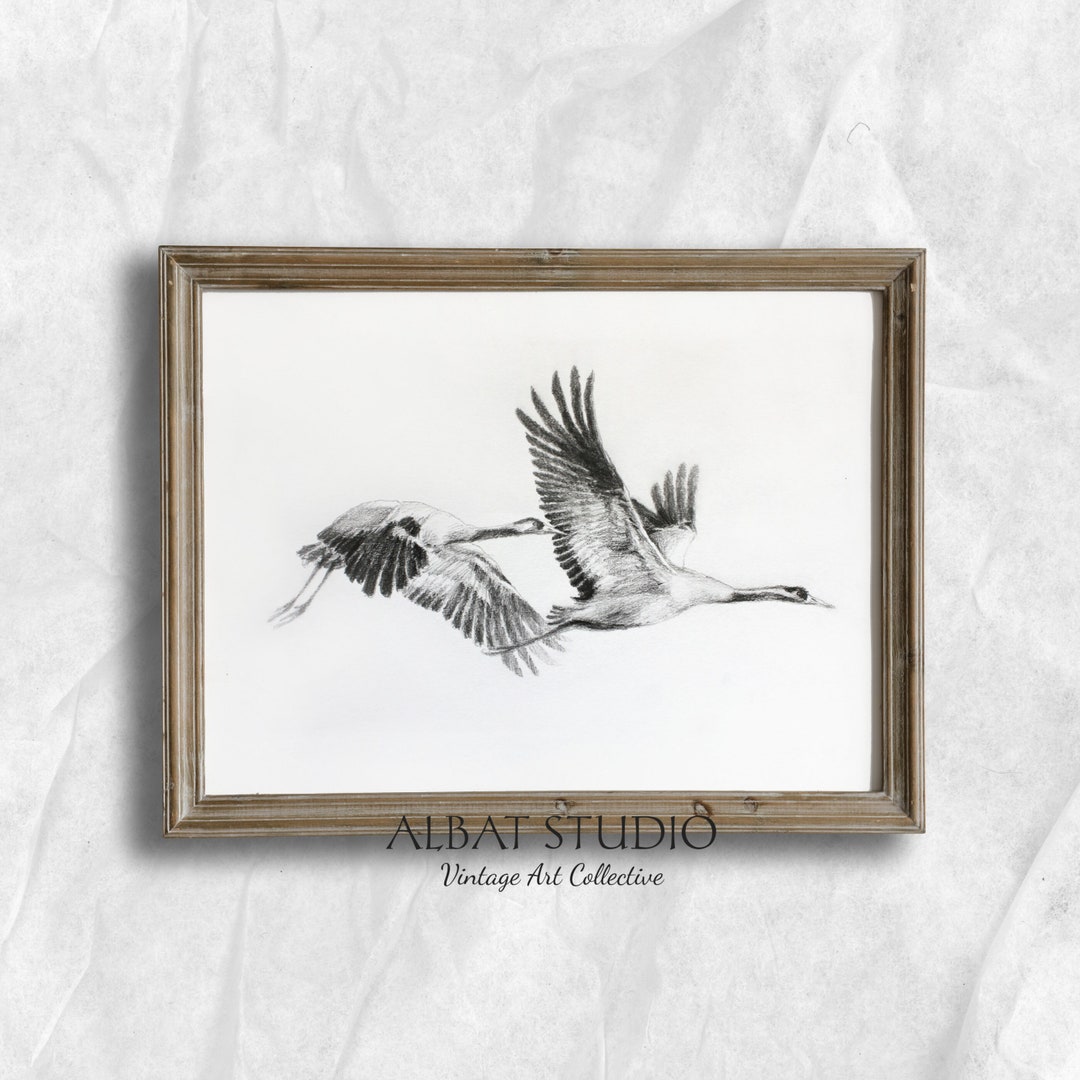 Vintage Stork Bird Painting | Rustic Stork Sketch Print| Download ...