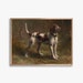 Limier Briquet Hound Vintage Dog Art Animal Oil Painting Old Hunting ...