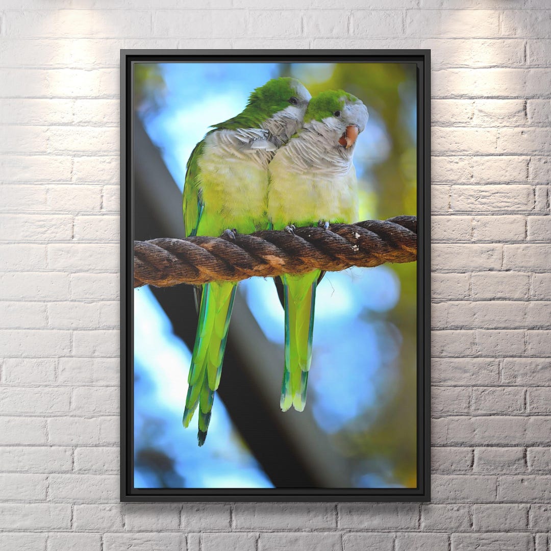 Parrots Wall Art Parrot Photography Birds Love Print Parrot Art Print ...