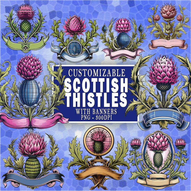 Scottish Thistle Clipart: Caledonian PNG Images (digital Download) - Etsy