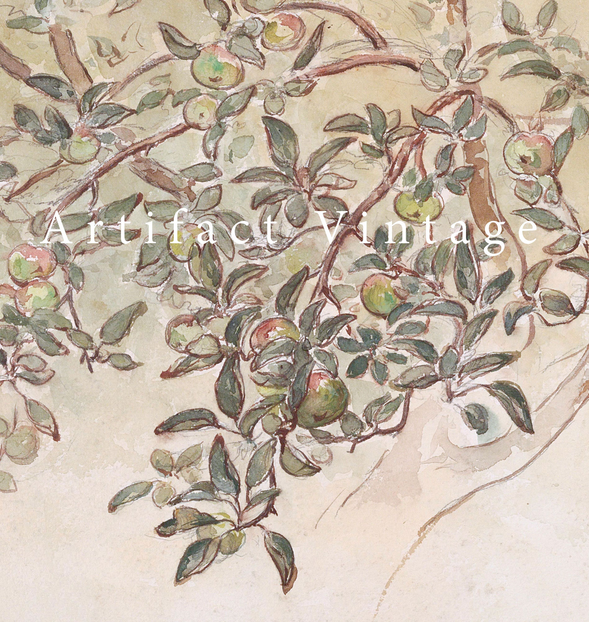 Set of 2 Vintage Apple Tree Prints / Wall Art Set / Antique - Etsy