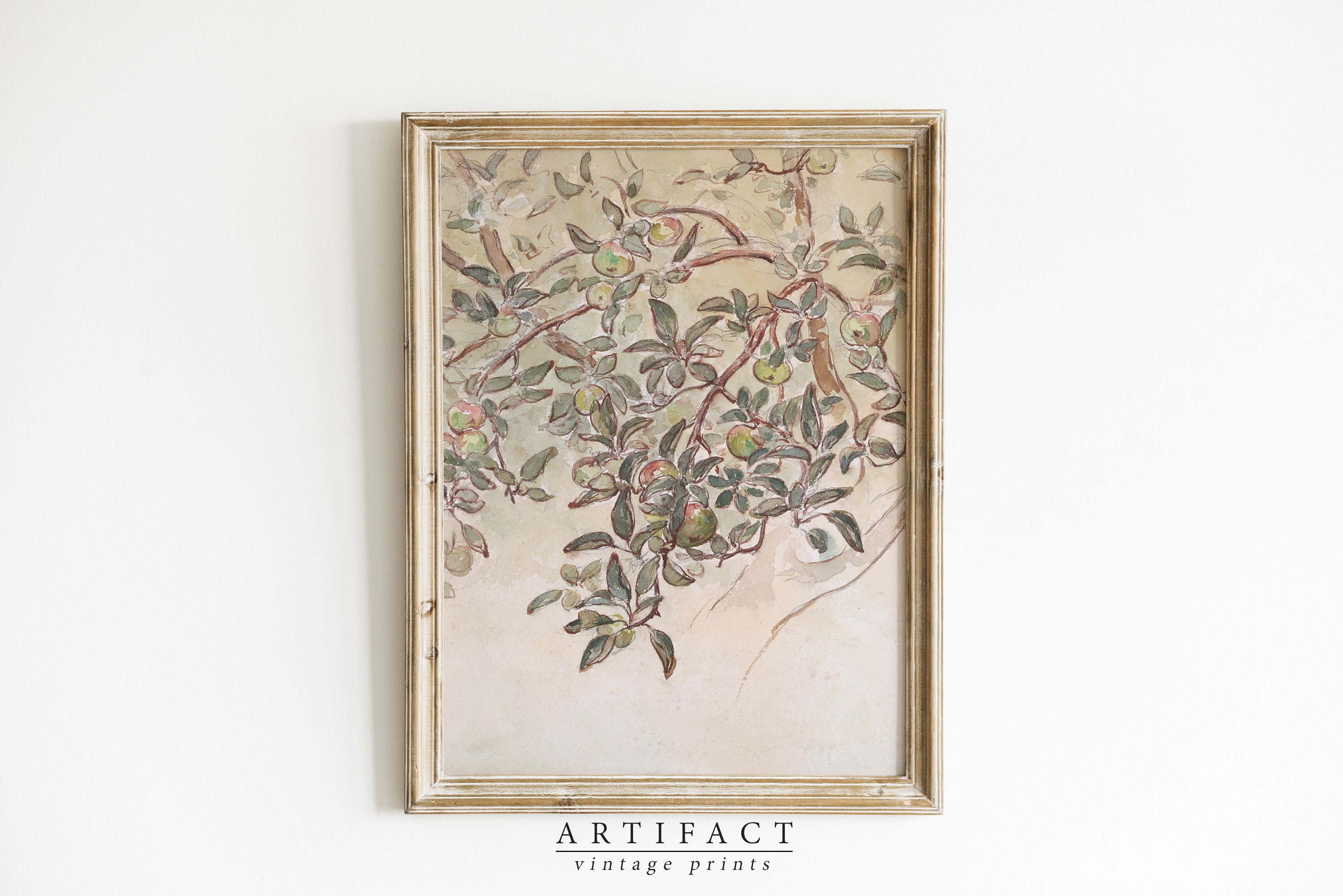 Set of 2 Vintage Apple Tree Prints / Wall Art Set / Antique - Etsy