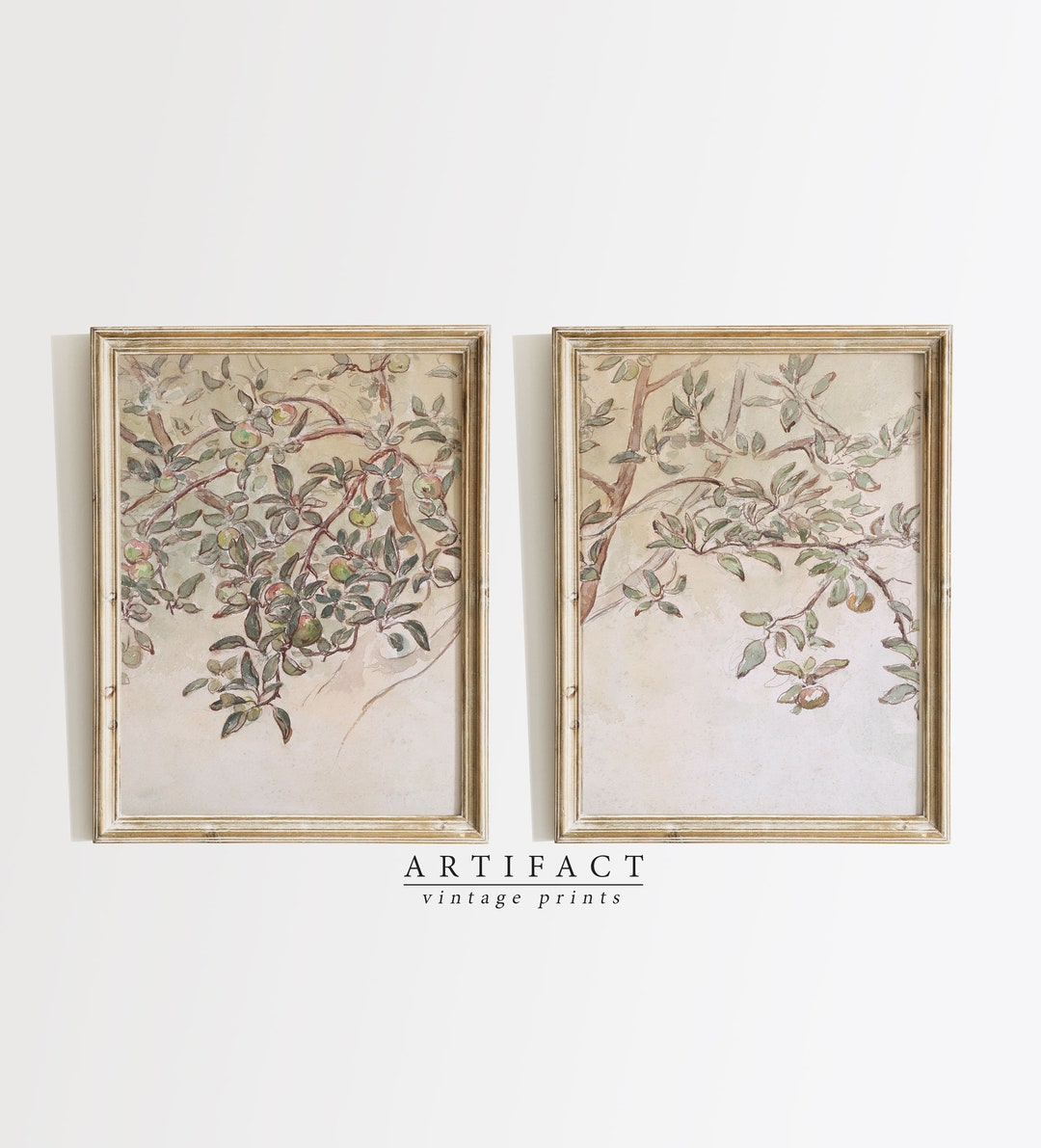 Set of 2 Vintage Apple Tree Prints / Wall Art Set / Antique Branch ...