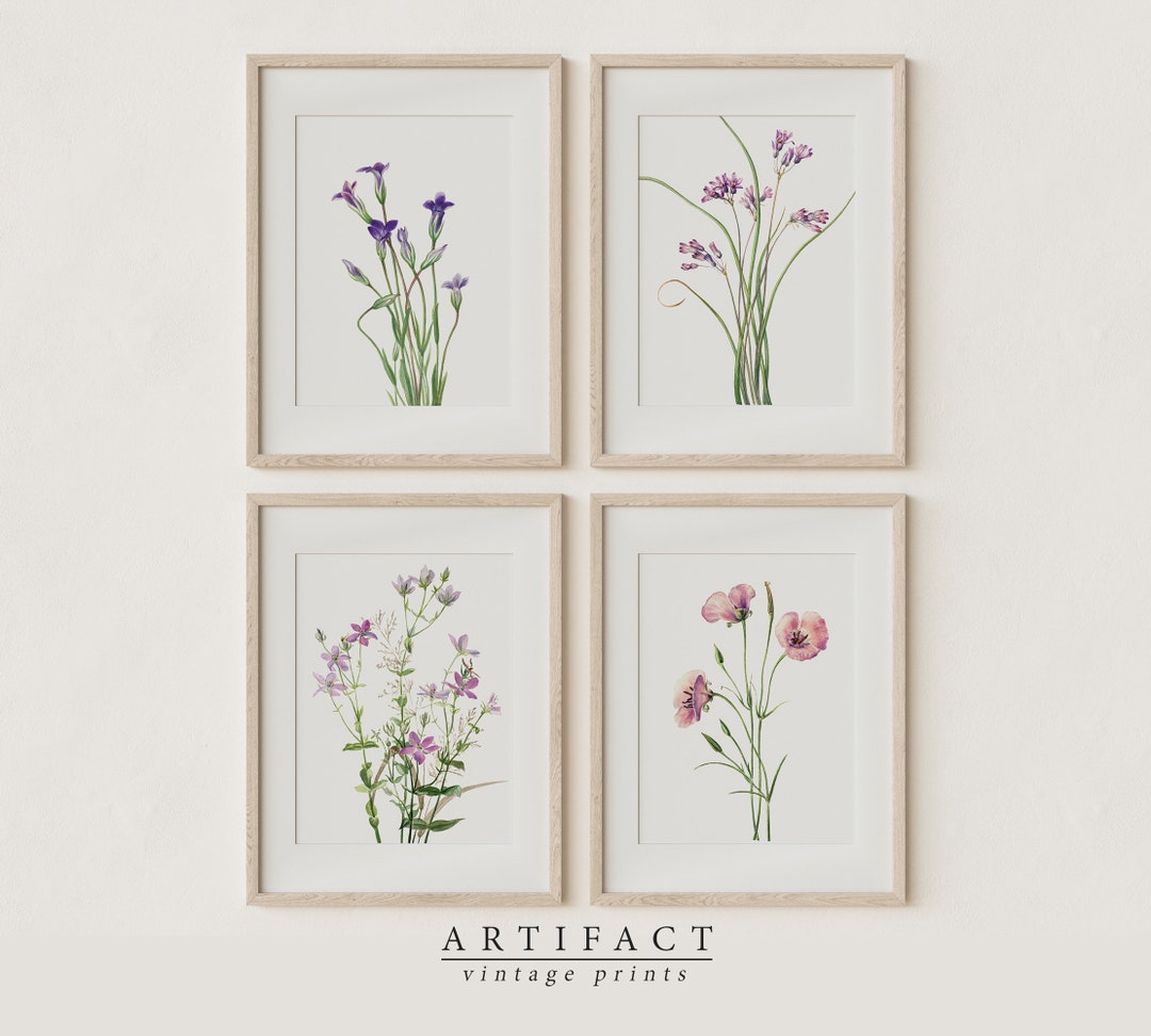 Botanical Wall Art SET / Vintage Gallery Wall Art / Floral Illustration ...