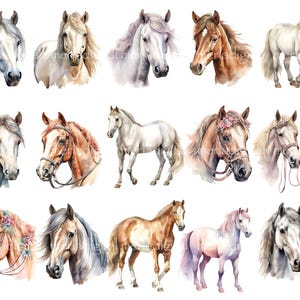 Watercolor Horse Clipart Bundle, Commercial Use (digital Download) - Etsy