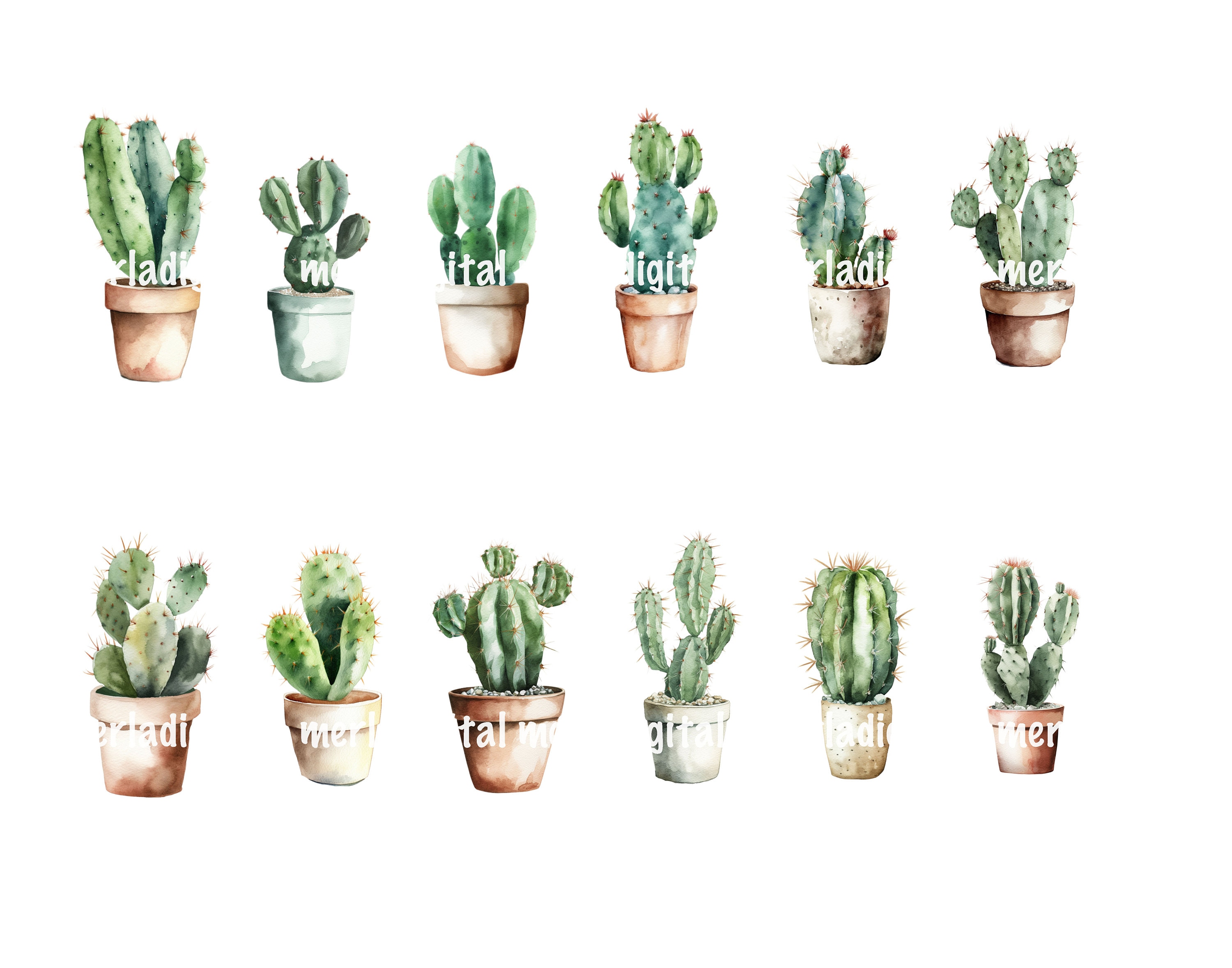 Cactus Watercolor Clipart Png Printable Image PNG Instant - Etsy