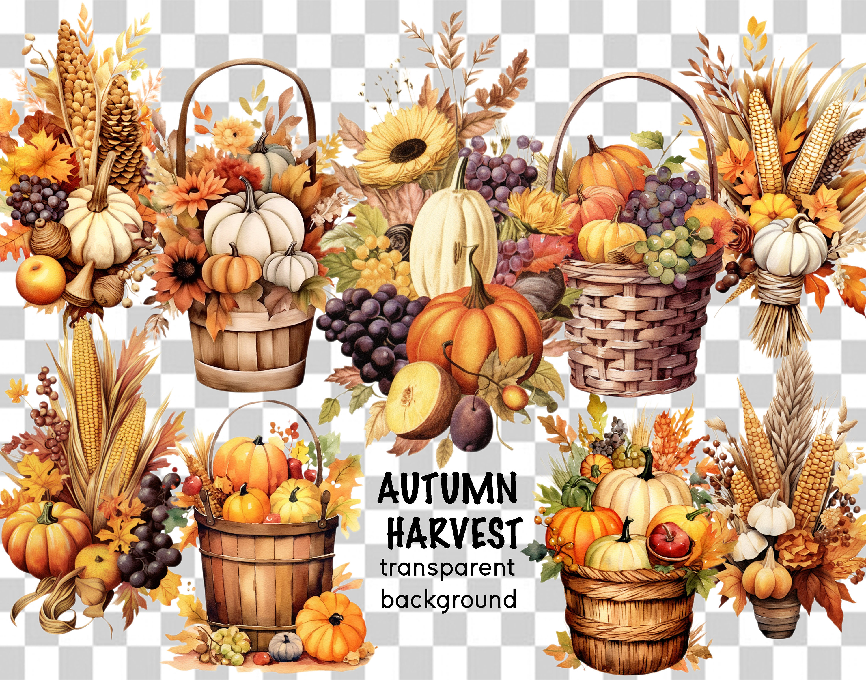 Autumn Harvest Clipart Watercolor Pumpkin Clipart Fall - Etsy