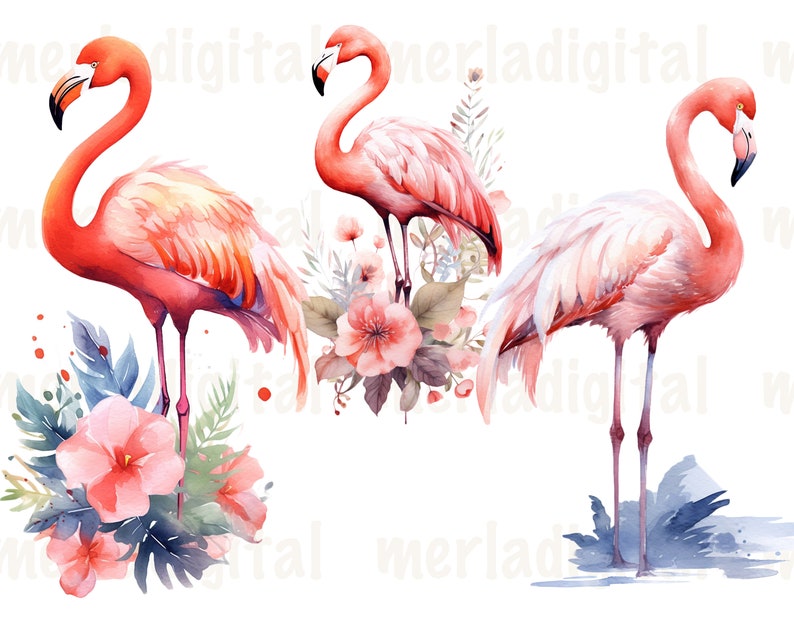 Flamingo Watercolor Clipart Tropical Illustration Flowers Leaves PNG ...