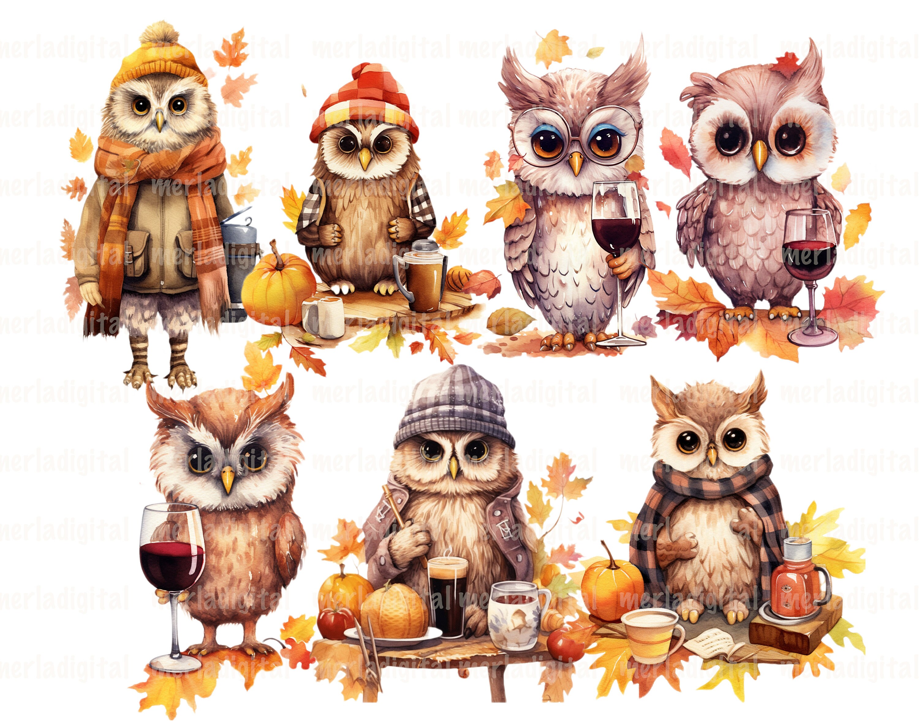 Autumn Owl Watercolor Clipart Fall Animal Funny Png Kids - Etsy
