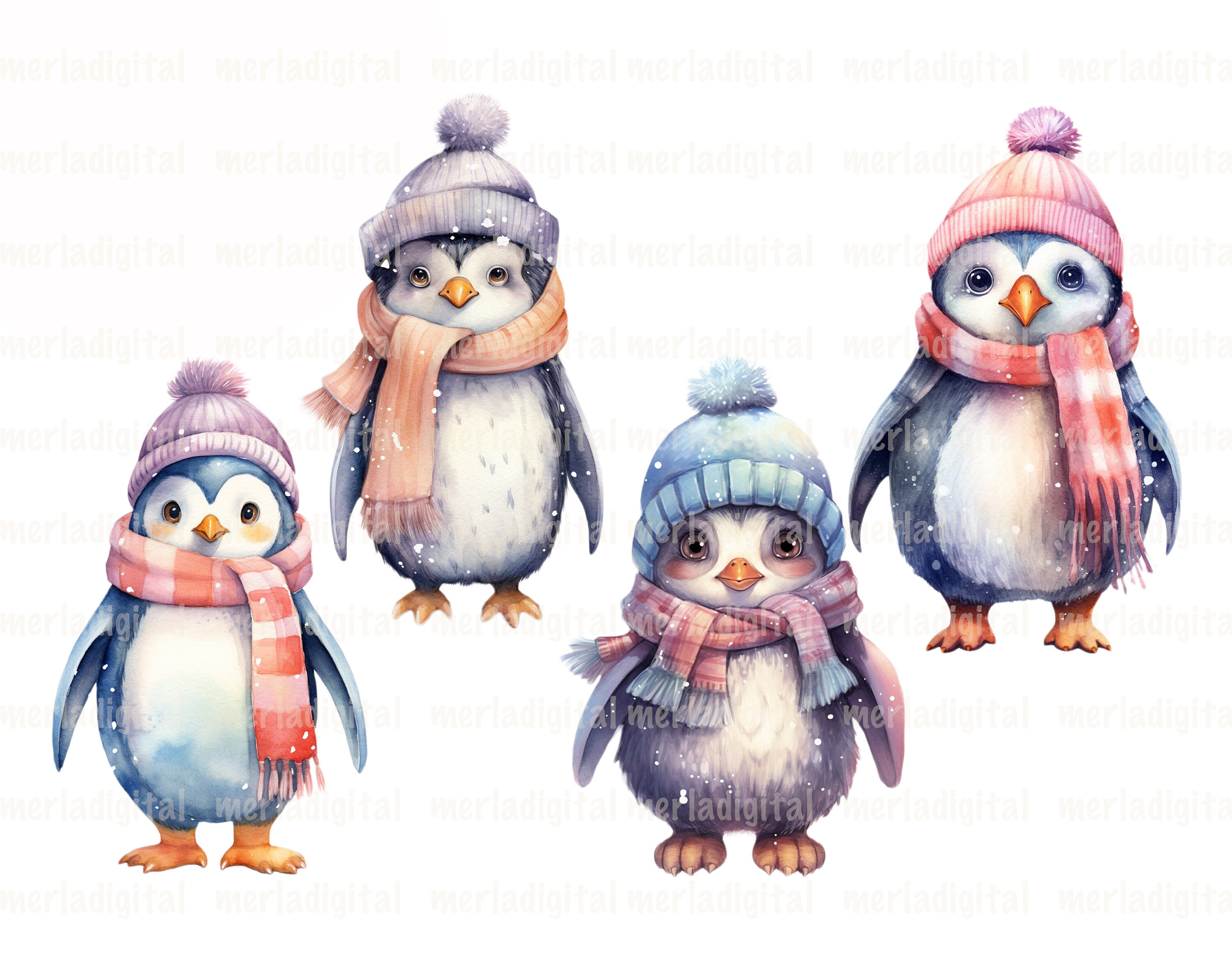 Cute Penguin Clipart Watercolor Penguin Illustration Winter - Etsy