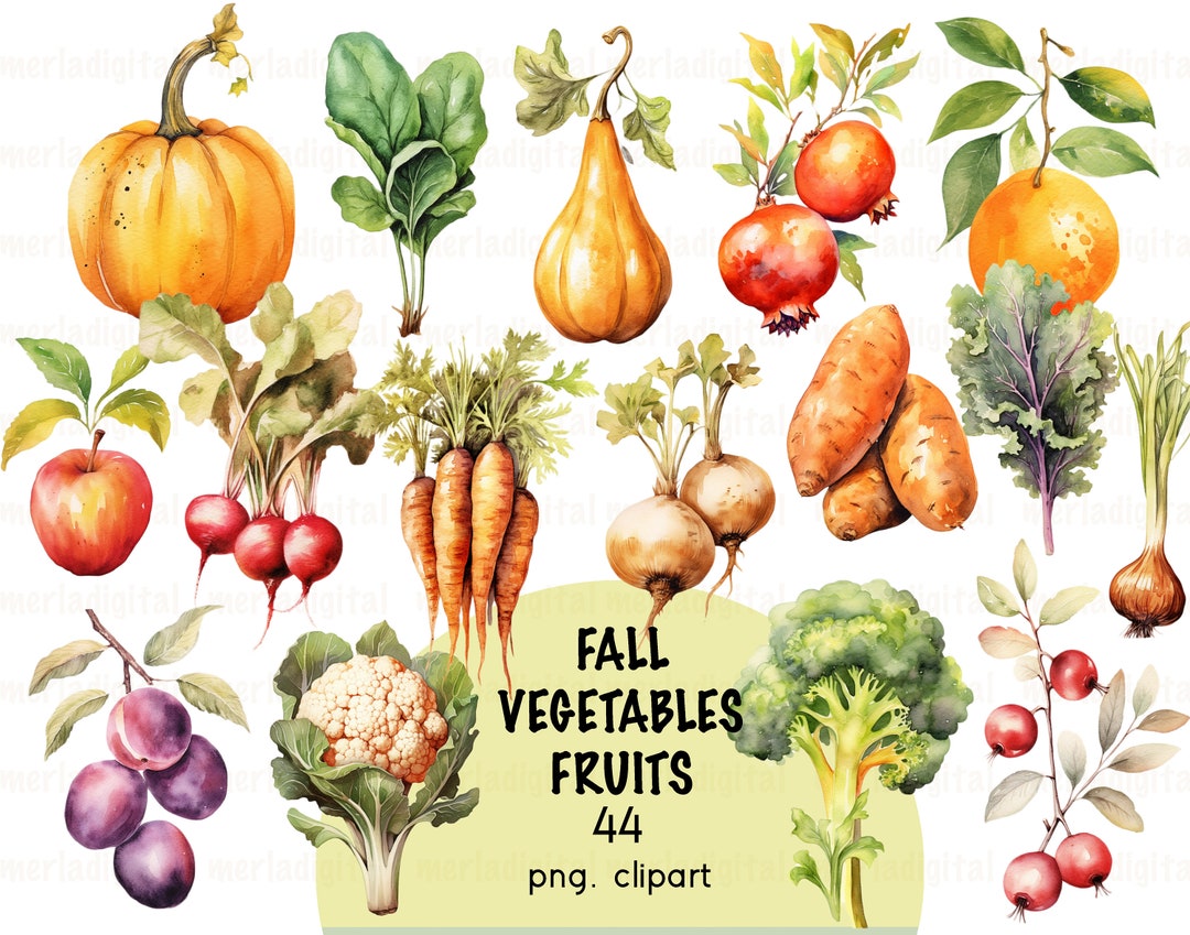 Watercolor Fall Vegetables Clipart Autumn Vegetables and Fruits Png ...