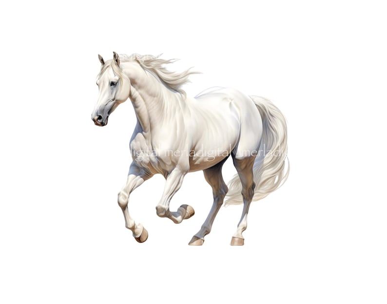 Watercolor Horse Clipart Bundle, Commercial Use (digital Download) - Etsy