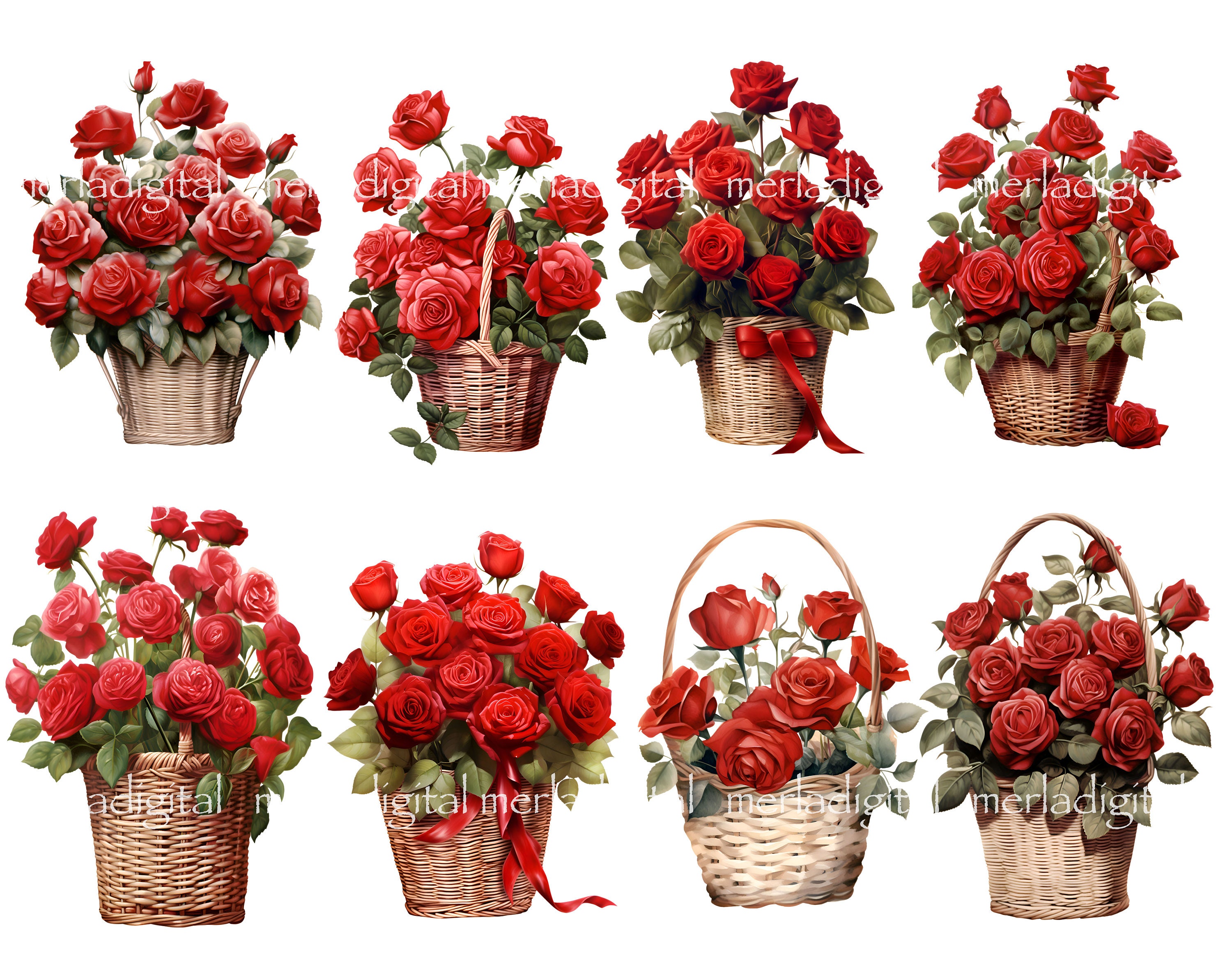 Red Rose Basket Clipart Valentine Watercolor Red Rose Clipart Bundle ...