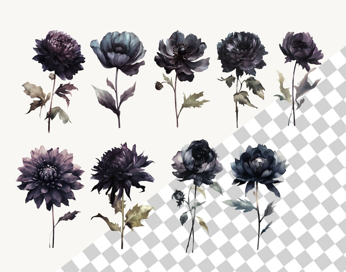 Watercolor Gothic Floral Clipart Black Flowers Gothic - Etsy