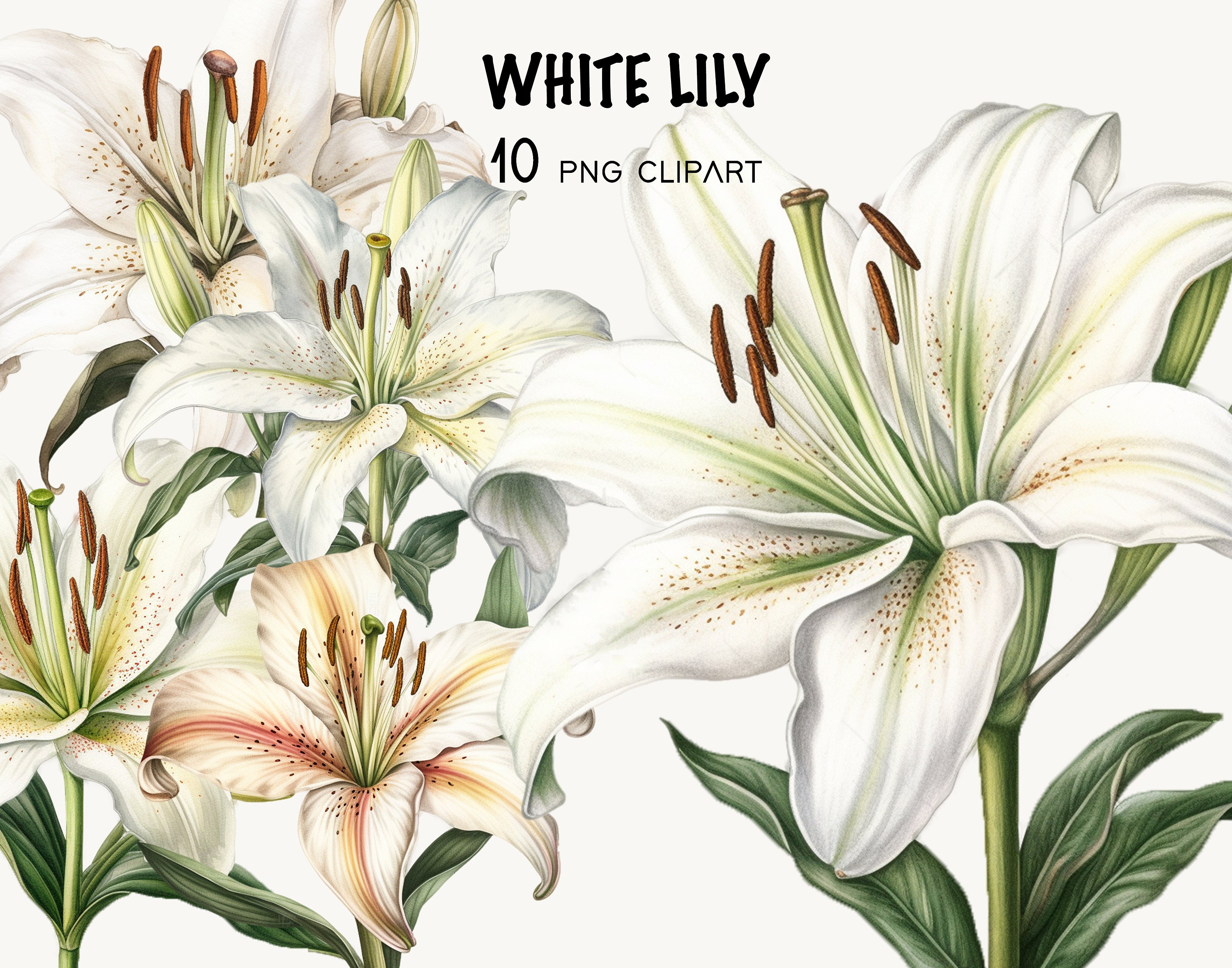 Easter Lilies Clip Art