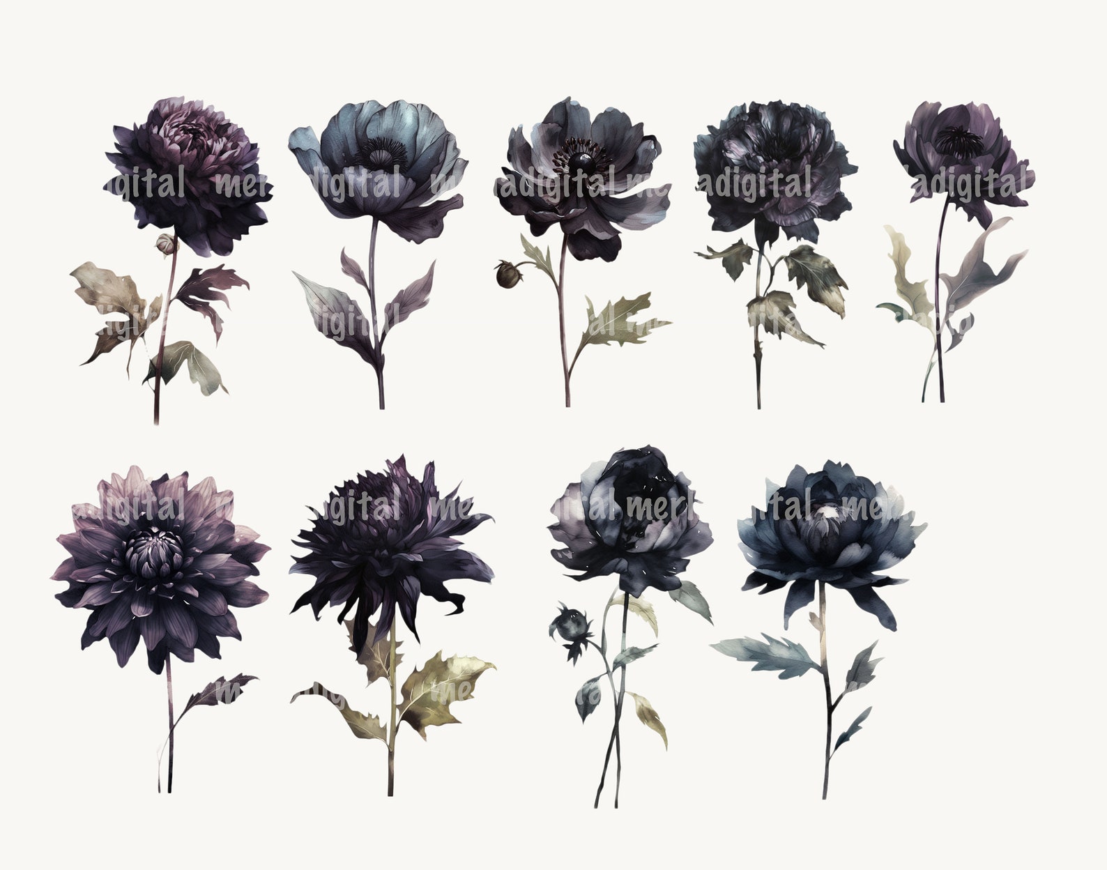 Watercolor Gothic Floral Clipart Black Flowers Gothic - Etsy