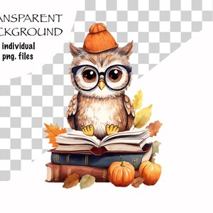Autumn Owl Watercolor Clipart, Fall Animal Funny Png, Kids Clipart ...