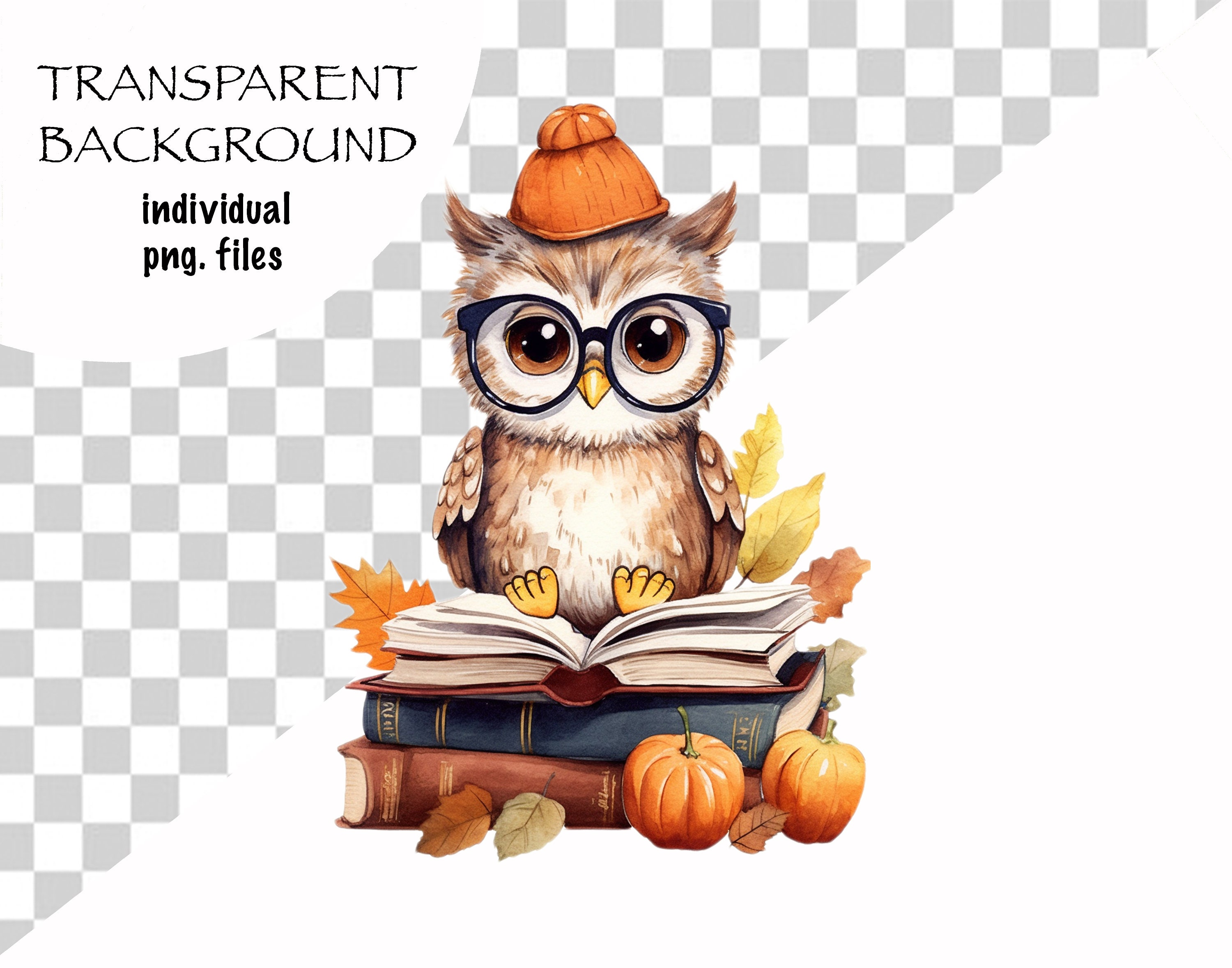 Autumn Owl Watercolor Clipart Fall Animal Funny Png Kids - Etsy