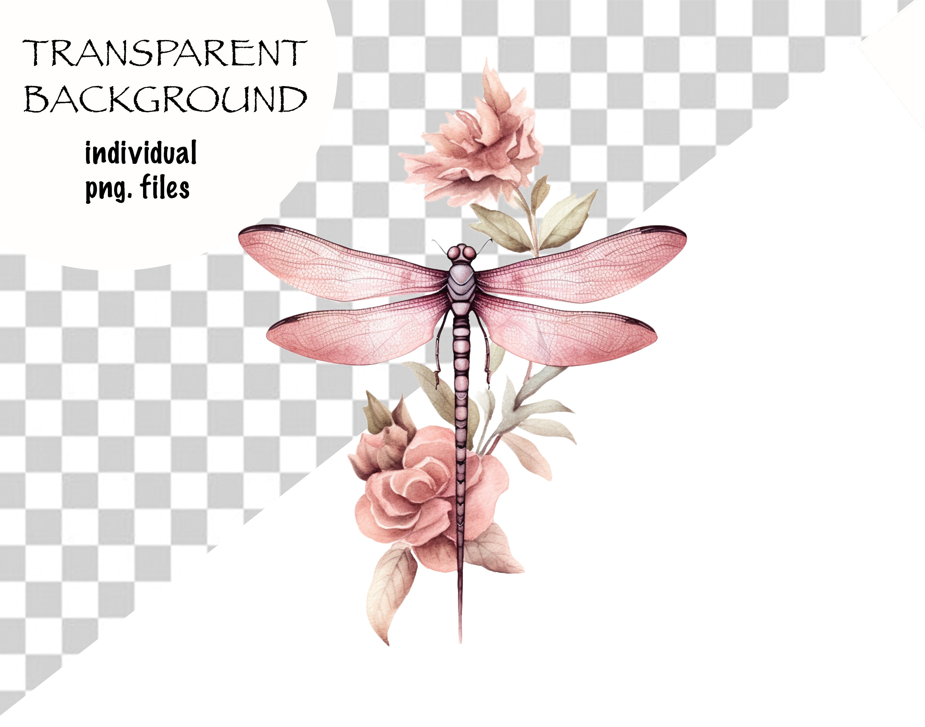 Dragonfly Clipart Watercolor Flower Dragonfly Minimal Png Clipart Pink ...