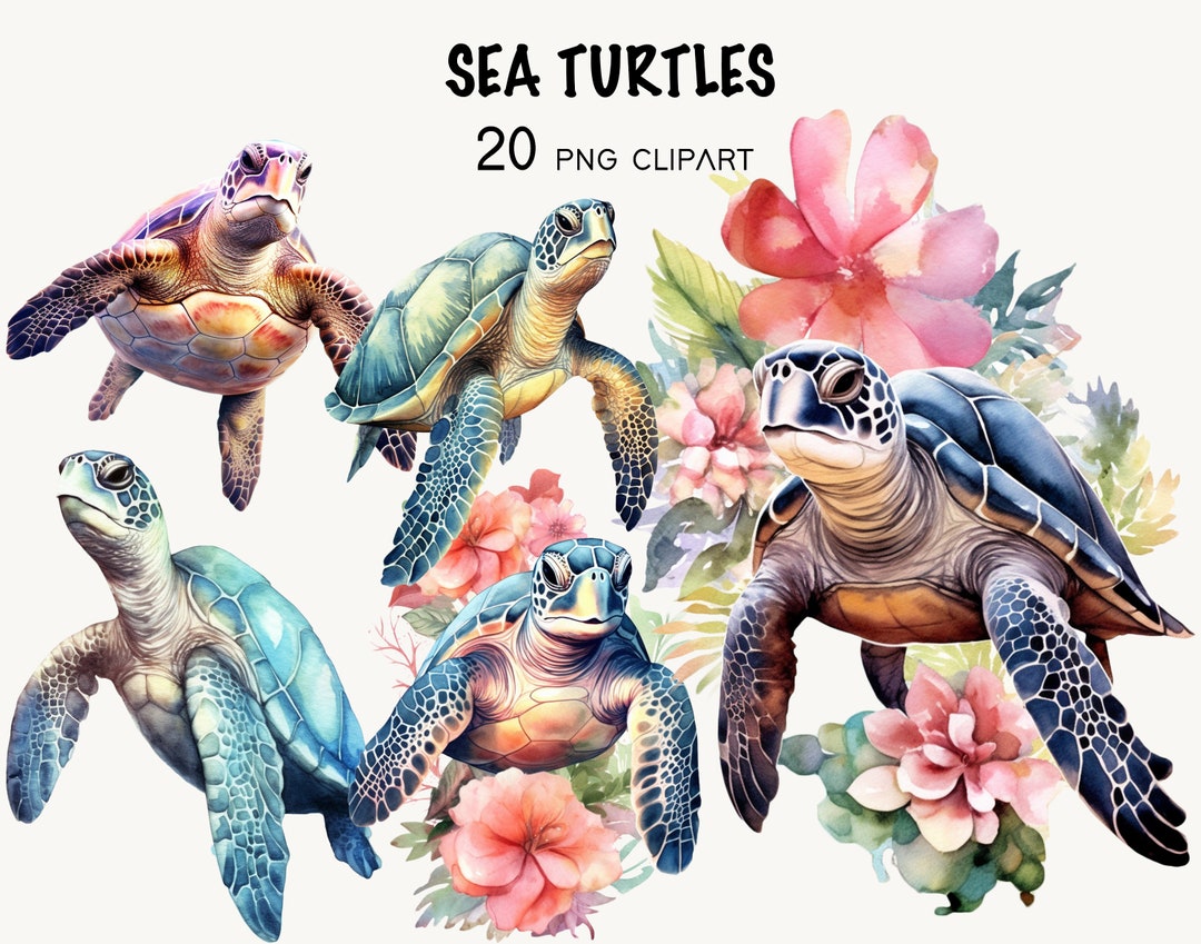 Watercolor Sea Turtle PNG. Clipart Ocean Animals Flowers Clip Art Cute ...