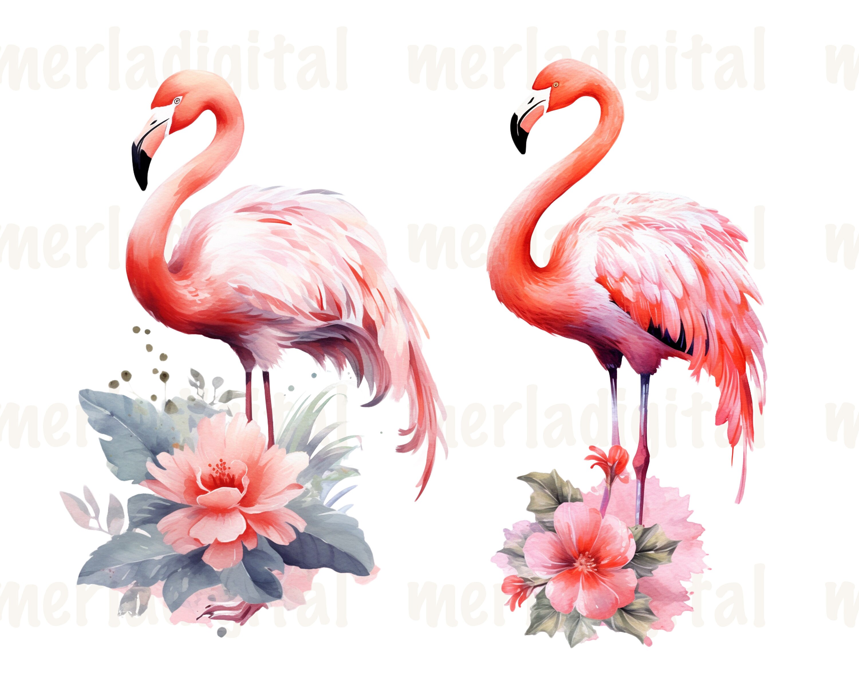 Flamingo Watercolor Clipart Tropical Illustration Flowers Leaves PNG ...