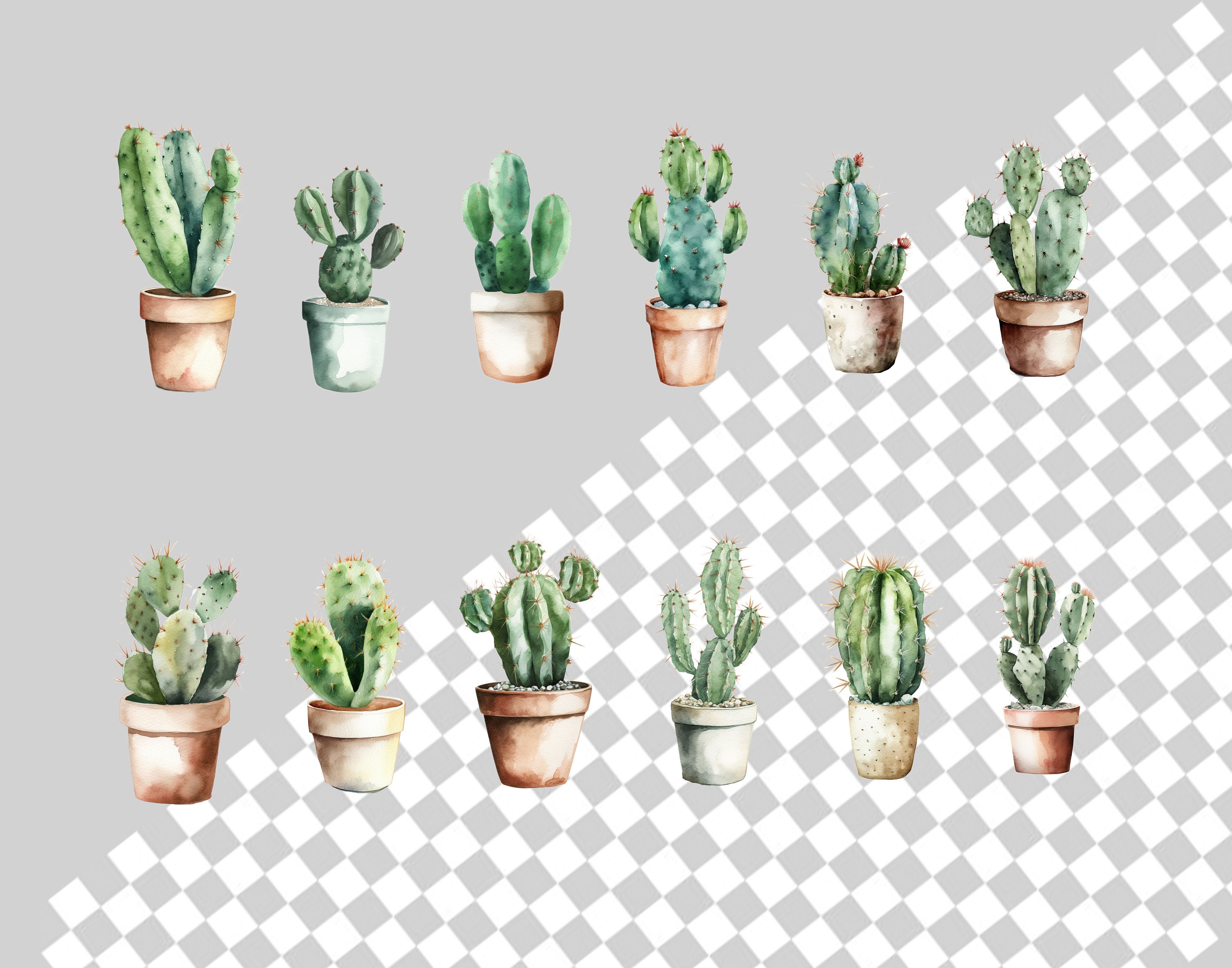 Cactus Watercolor Clipart Png Printable Image PNG Instant - Etsy