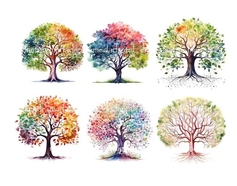 Watercolor Tree of Life Clipart, 22 Seasons PNG Bundle (commercial ...
